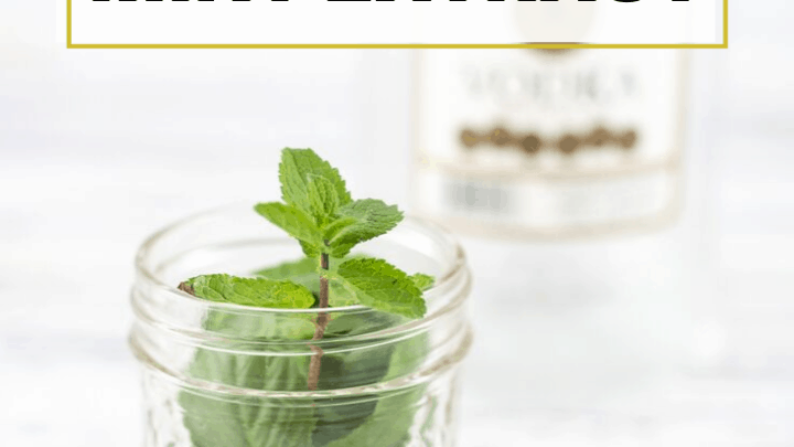 Mint Extract