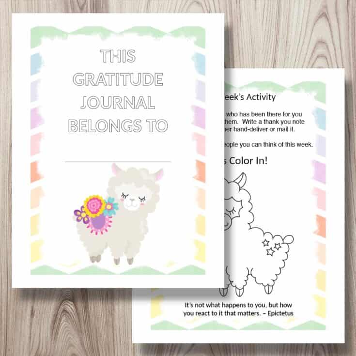 Printable Gratitude Journal for Kids (to help your child develop an ...