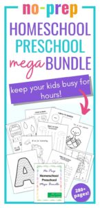Preschool Mega Bundle - The Artisan Life