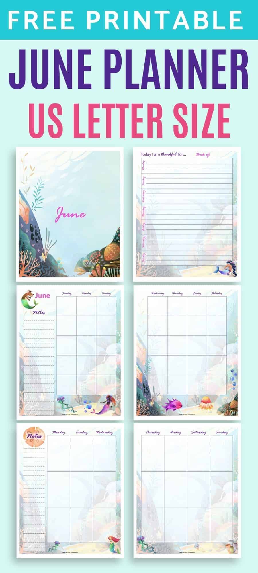 Free Printable June Planner Pages for US Letter and Happy Planner - The ...