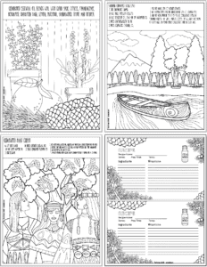 11+ Free Printable Cedarwood Essential Oil Coloring Pages - The Artisan ...