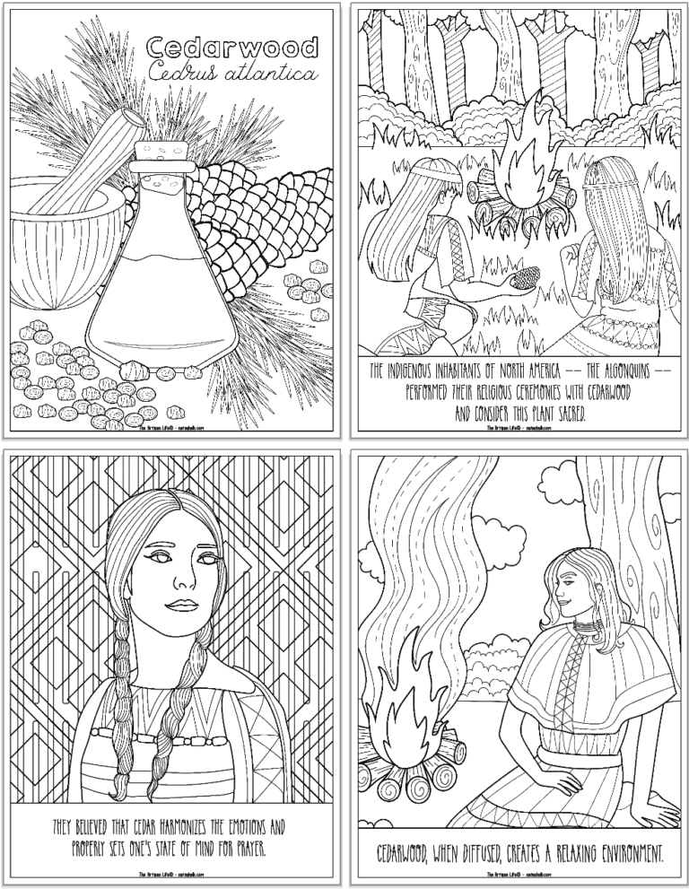 11+ Free Printable Cedarwood Essential Oil Coloring Pages - The Artisan ...