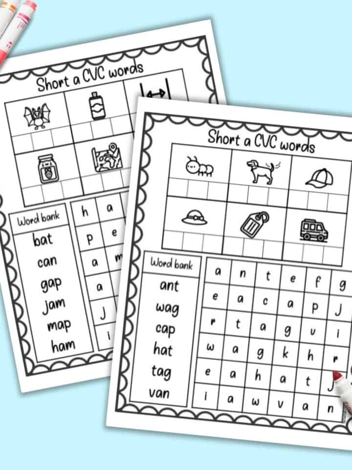 CVC and sight words Archives - The Artisan Life