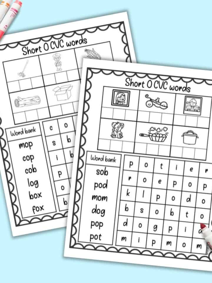 CVC and sight words Archives - The Artisan Life