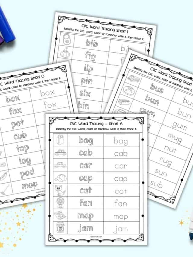 CVC and sight words Archives - The Artisan Life