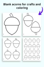Free Printable Acorn Templates - The Artisan Life