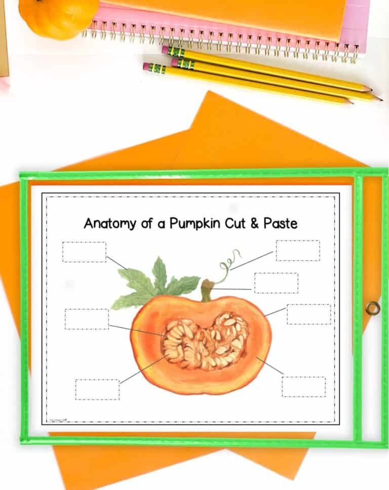 Free Pumpkin Anatomy Printables - The Artisan Life