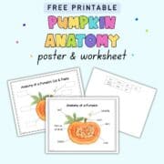Free Pumpkin Anatomy Printables - The Artisan Life