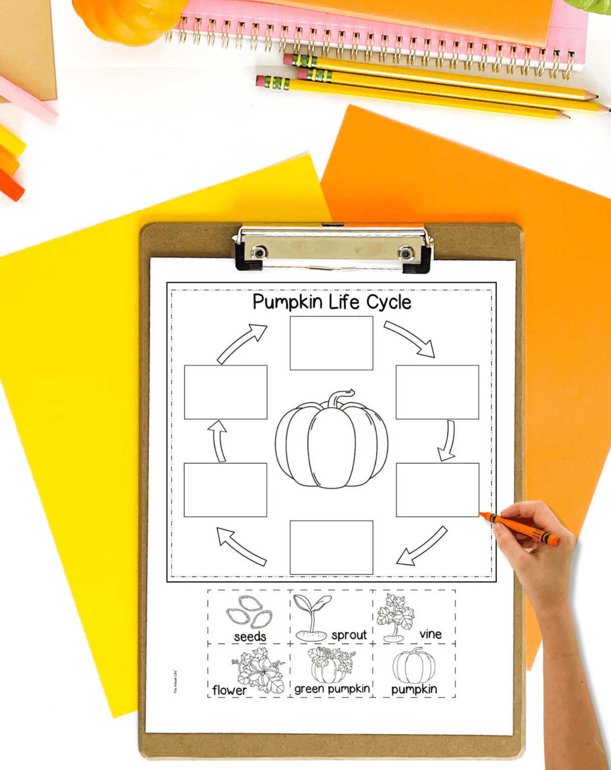 Free Printable Pumpkin Life Cycle Coloring Page Worksheet - The Artisan ...