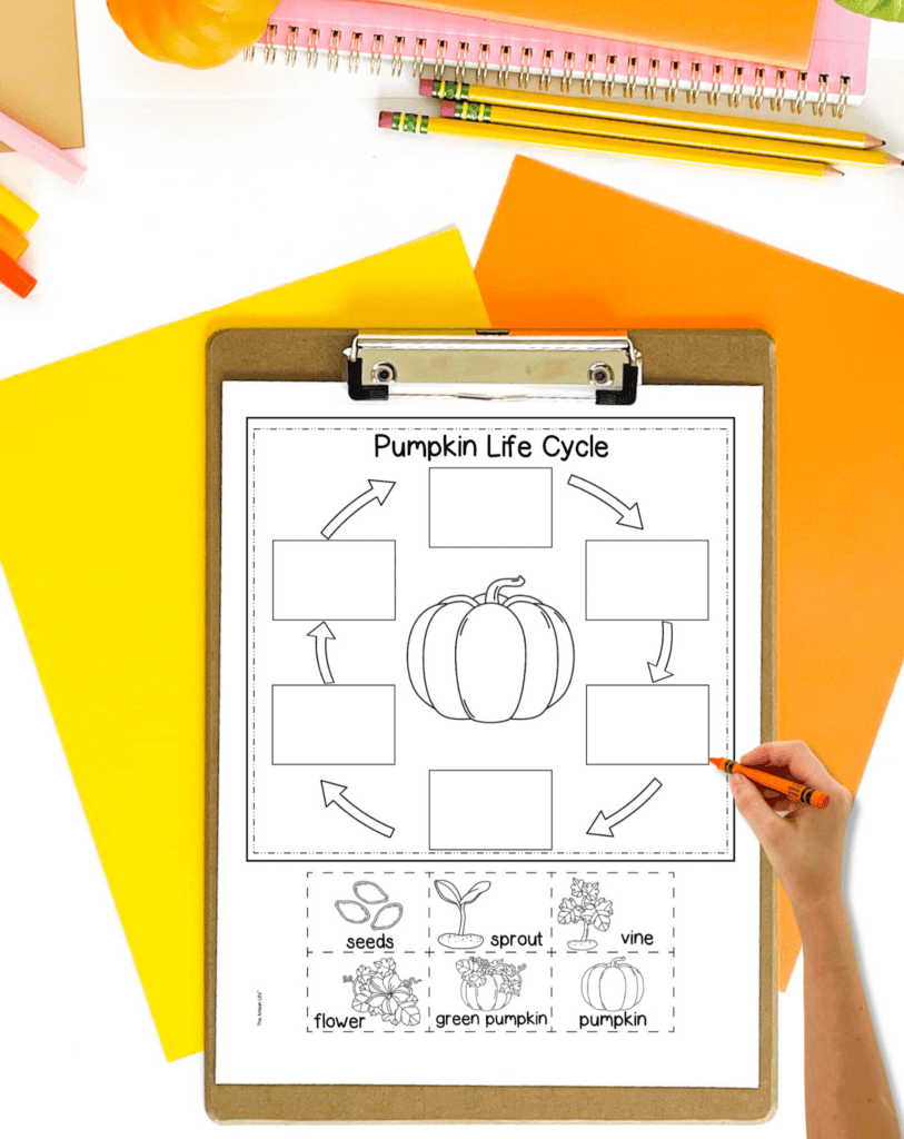 Free Printable Pumpkin Life Cycle Coloring Page Worksheet - The Artisan ...