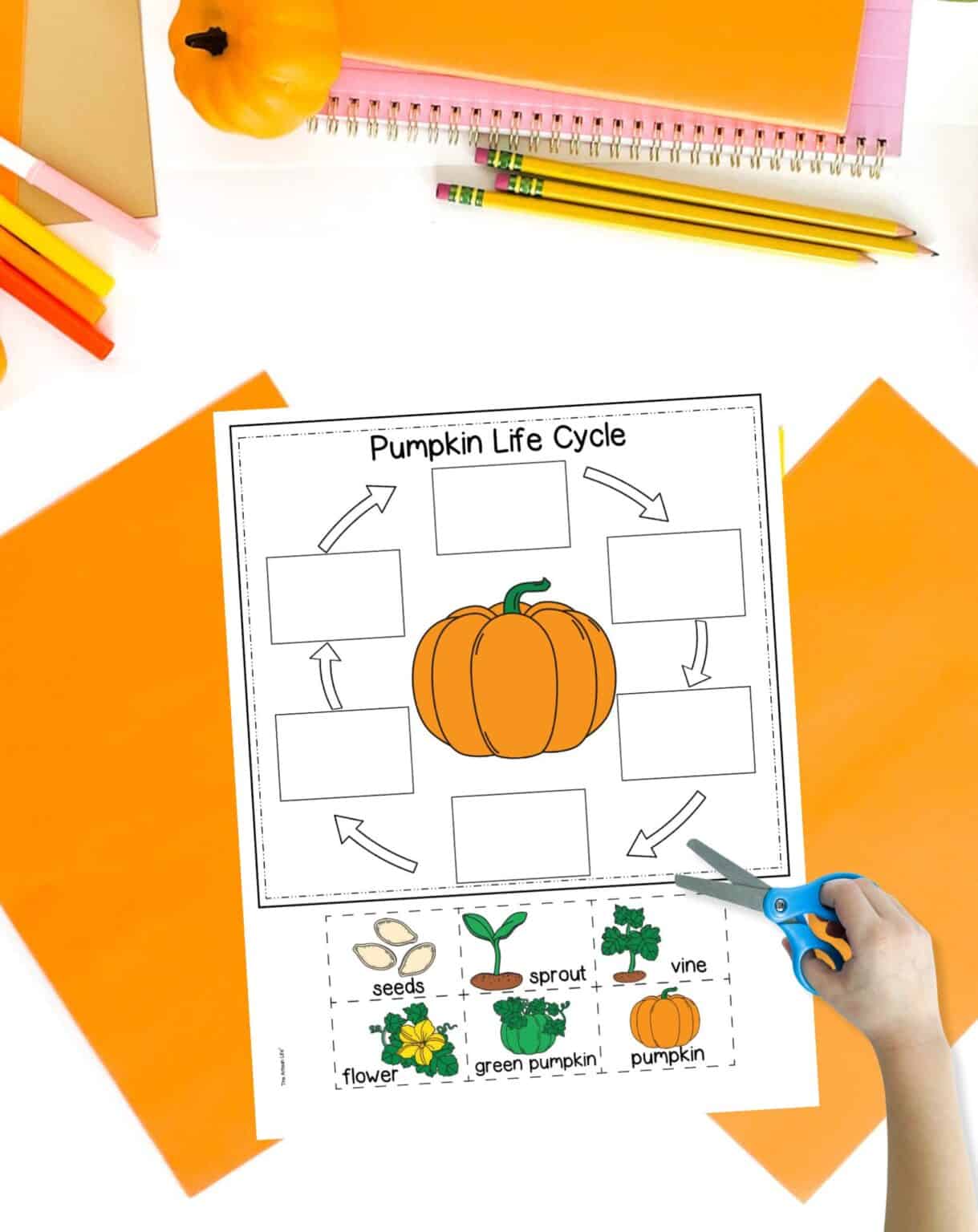 Free Printable Pumpkin Life Cycle Coloring Page Worksheet - The Artisan ...