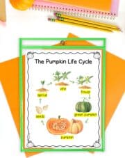 Free Printable Pumpkin Life Cycle Poster - The Artisan Life