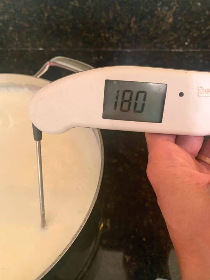 Unbelievably Easy Instant Pot Greek Style Yogurt - The Artisan Life