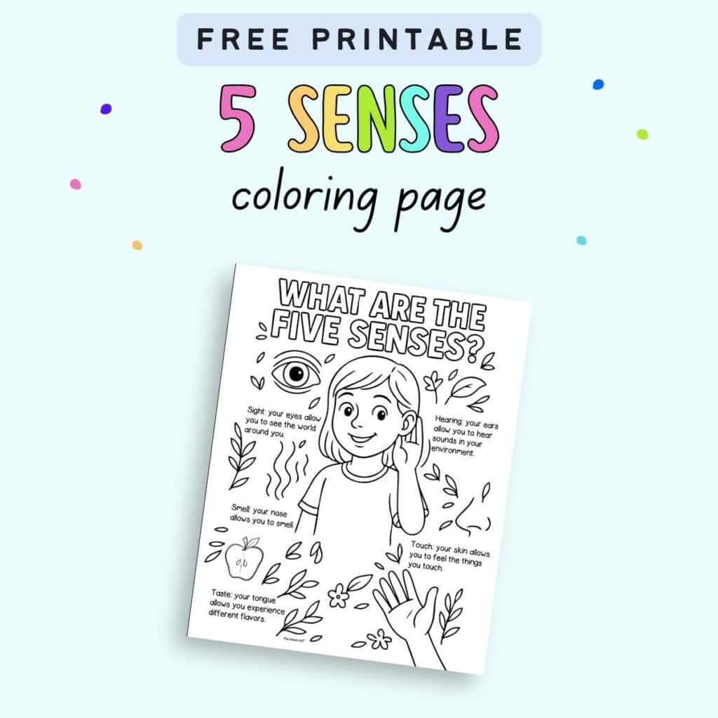 Free Printable Five Senses Coloring Page - The Artisan Life