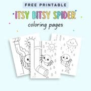 Free Printable Itsy Bitsy Spider Coloring Pages - The Artisan Life