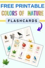 Free Printable Watercolor Nature Color Flashcards - The Artisan Life
