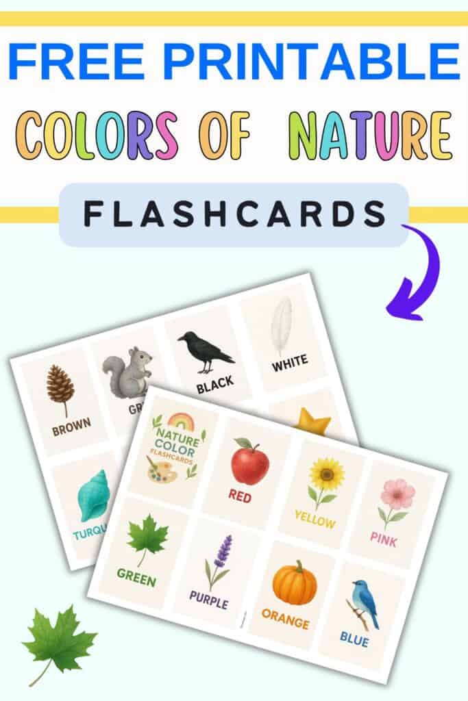 Free Printable Watercolor Nature Color Flashcards - The Artisan Life