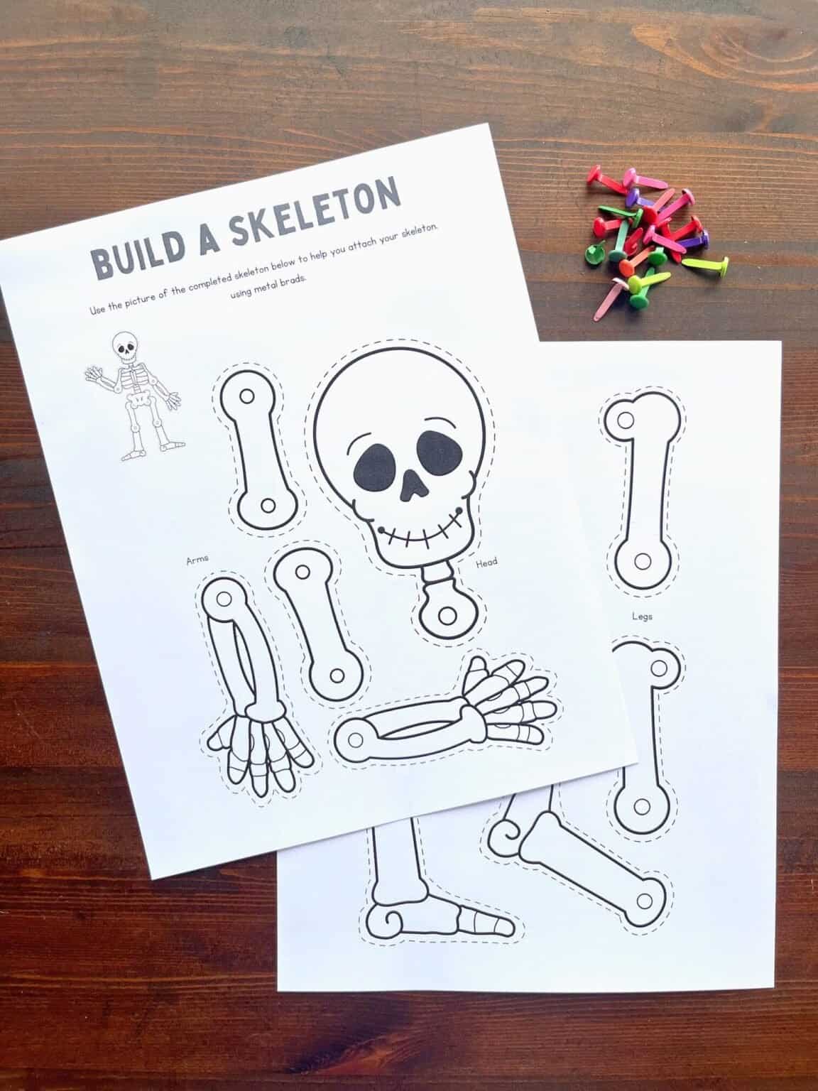 Free Printable Skeleton Craft - The Artisan Life