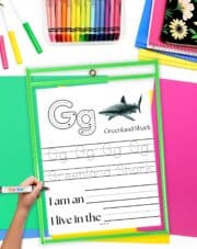 Free Printable Arctic Animals Alphabet Tracing Worksheets - The Artisan ...