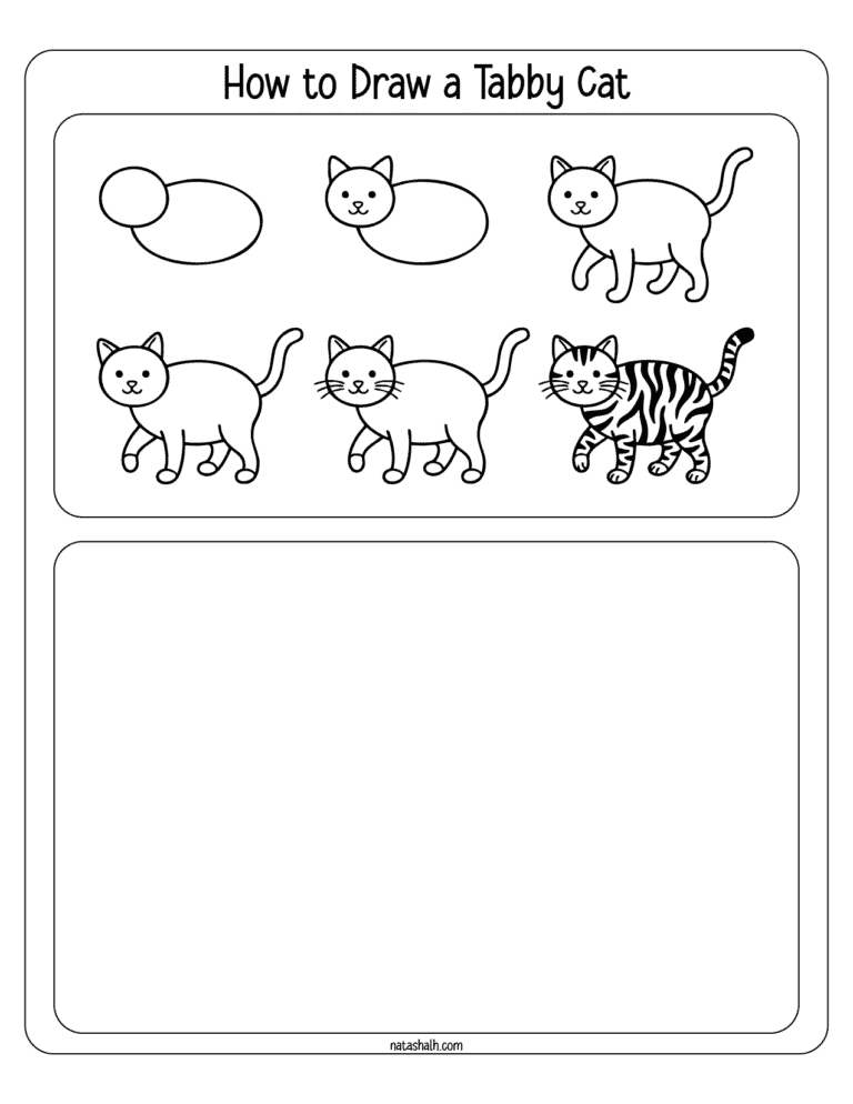 How to Draw a Cat Step by Step Worksheets - The Artisan Life