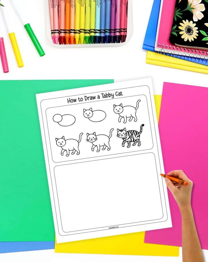 How to Draw a Cat Step by Step Worksheets - The Artisan Life