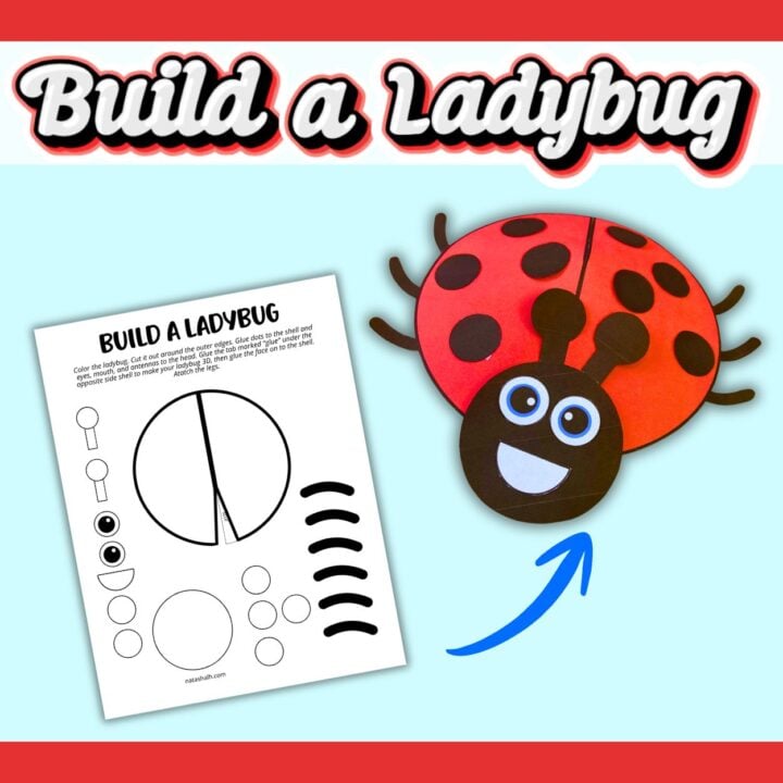 3D Ladybug Paper Craft - The Artisan Life
